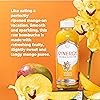 SYNERGY The Real Kombucha - Mystic Mango - 16 fl oz Bottle - Raw ...