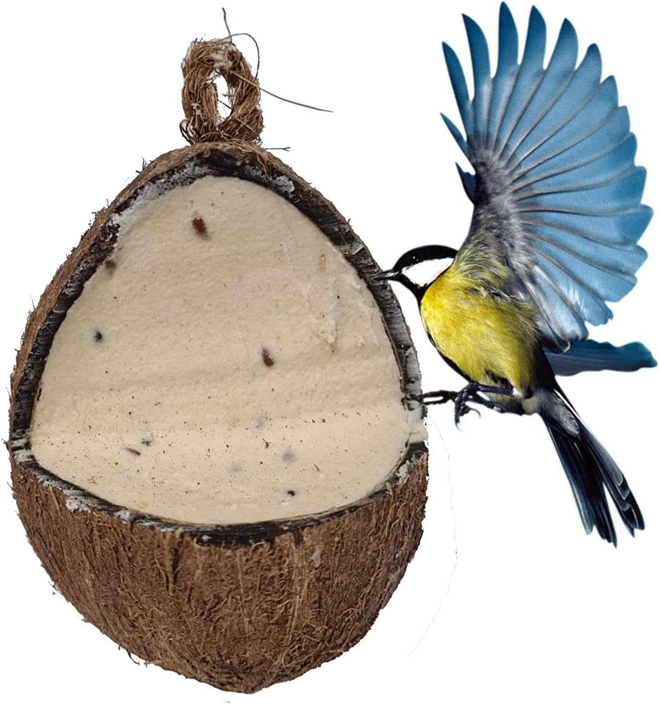 Galno Outdoors 12 x Premium Whole Coconut Shells Suet Feeder Mealworm ...