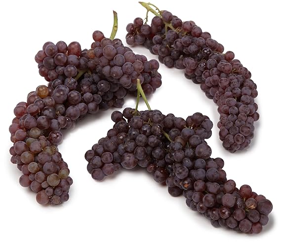 Champagne Grapes, 1 lb Package: Amazon.com: Grocery & Gourmet Food