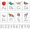 Amazon.com : TREND enterprises, Inc. Photo Alphabet Cards Zaner-Bloser ...