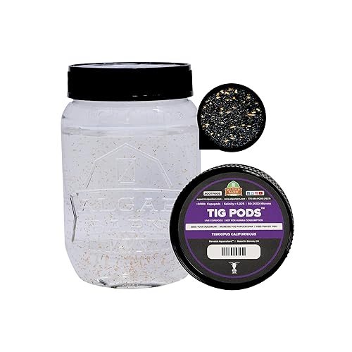 Tig Pods :: Live Copepods :: Tigriopus californicus Copepods :: Clean ...