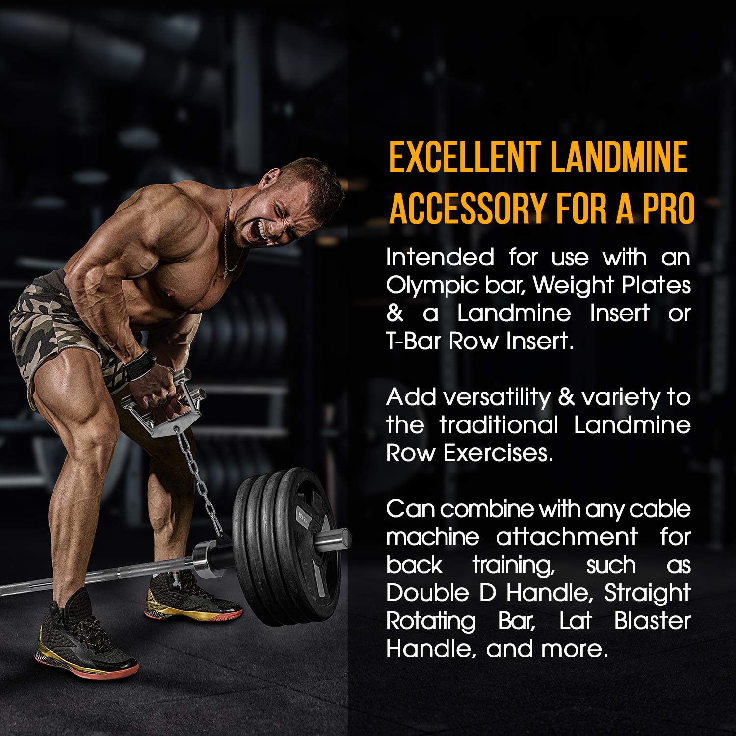 Mua Single Eyelet Landmine Bar Attachment with Chain – Fits Perfectly 1 ...