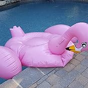 Amazon.com: Inflatables Giant Pink Flamingo Pool Float + 3 Flamingo ...