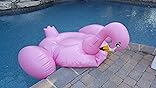 Amazon.com: Inflatables Giant Pink Flamingo Pool Float + 3 Flamingo ...