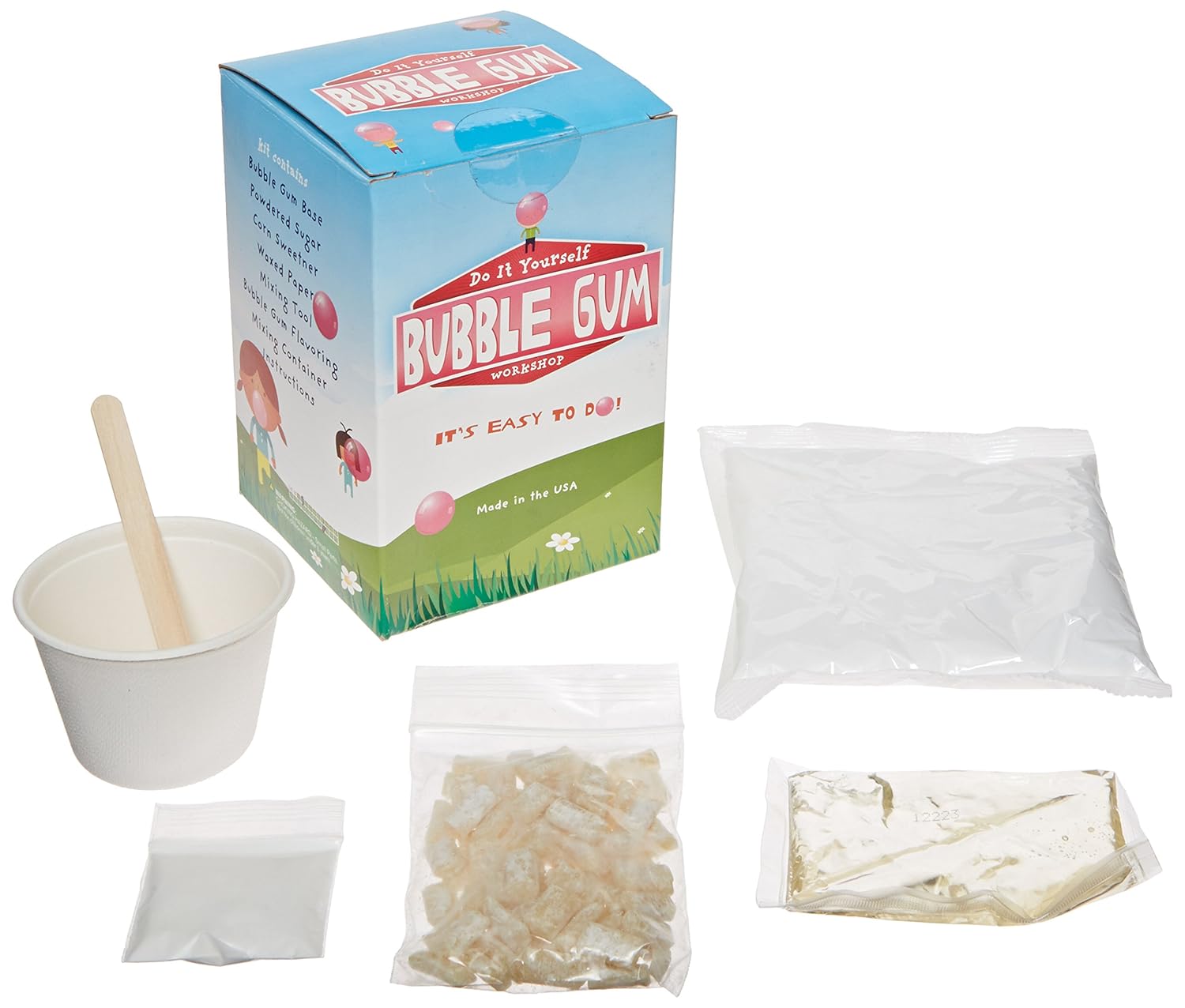 Copernicus Do It Yourself Bubble Gum Kit: Science Gifts: Amazon.com ...