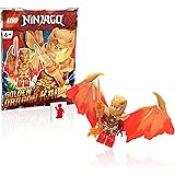 Amazon.com: LEGO NINJAGO Crystalized Minifigure - Zane (Golden Dragon ...