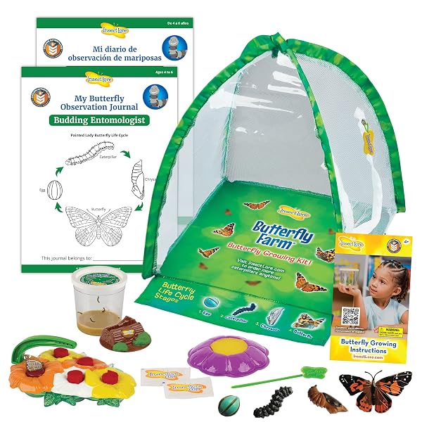 GuatemalaDigital.com: Butterfly Garden: Farm Habitat and Live Cup of ...