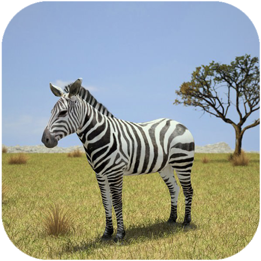 Amazon.com: Ultimate Wild Zebra Simulator 2019 : Apps & Games