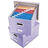 Amazon.com: PRANDOM File Organizer Box - Set of 2 Collapsible ...