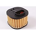 Amazon.com : Husqvarna Genuine 503818004 Air Filter Fits 362 365 371 ...