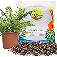 Amazon.com : Coco Peat Perlite Potting Mix (2 Quarts), Loose Coconut ...