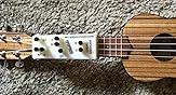 Amazon.com: Ukulele Chord Changer and Songbook Set (Made in Connecticut ...