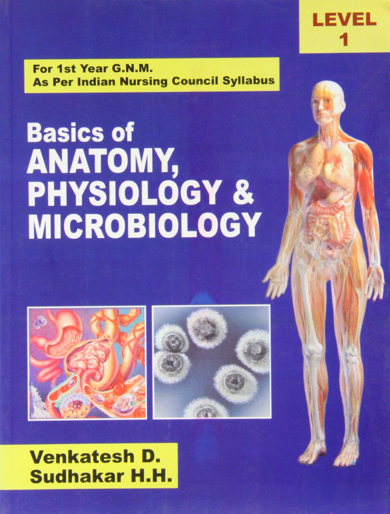 Basics Of Anatomy Physiology And Microbiology Level 1 Pb 2018 For 1 
