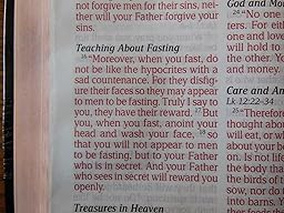 MEV Bible Personal Size Large Print Cherry Brown: Modern English ...