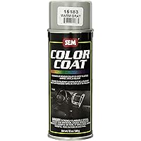 Amazon.com: SEM 15183 Warm Gray Color Coat - 12 oz.. : Automotive