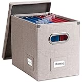 Amazon.com : Prandom File Organizer Box - Set of 1 Collapsible ...