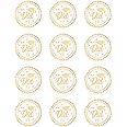 Amazon.com: Lucleag 360 PCS You Did It Graduation Envelope Seals ...