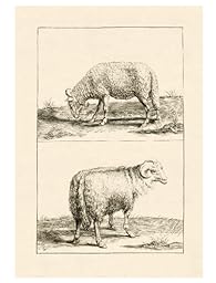 Lumen Picturae: A Classical Drawing Manual: Frederick de Wit ...