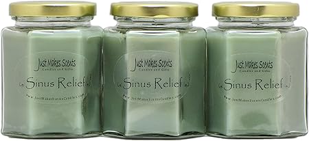 Amazon.com: 3 Pack - Sinus Relief (Vicks Vapor Rub type) Scented ...