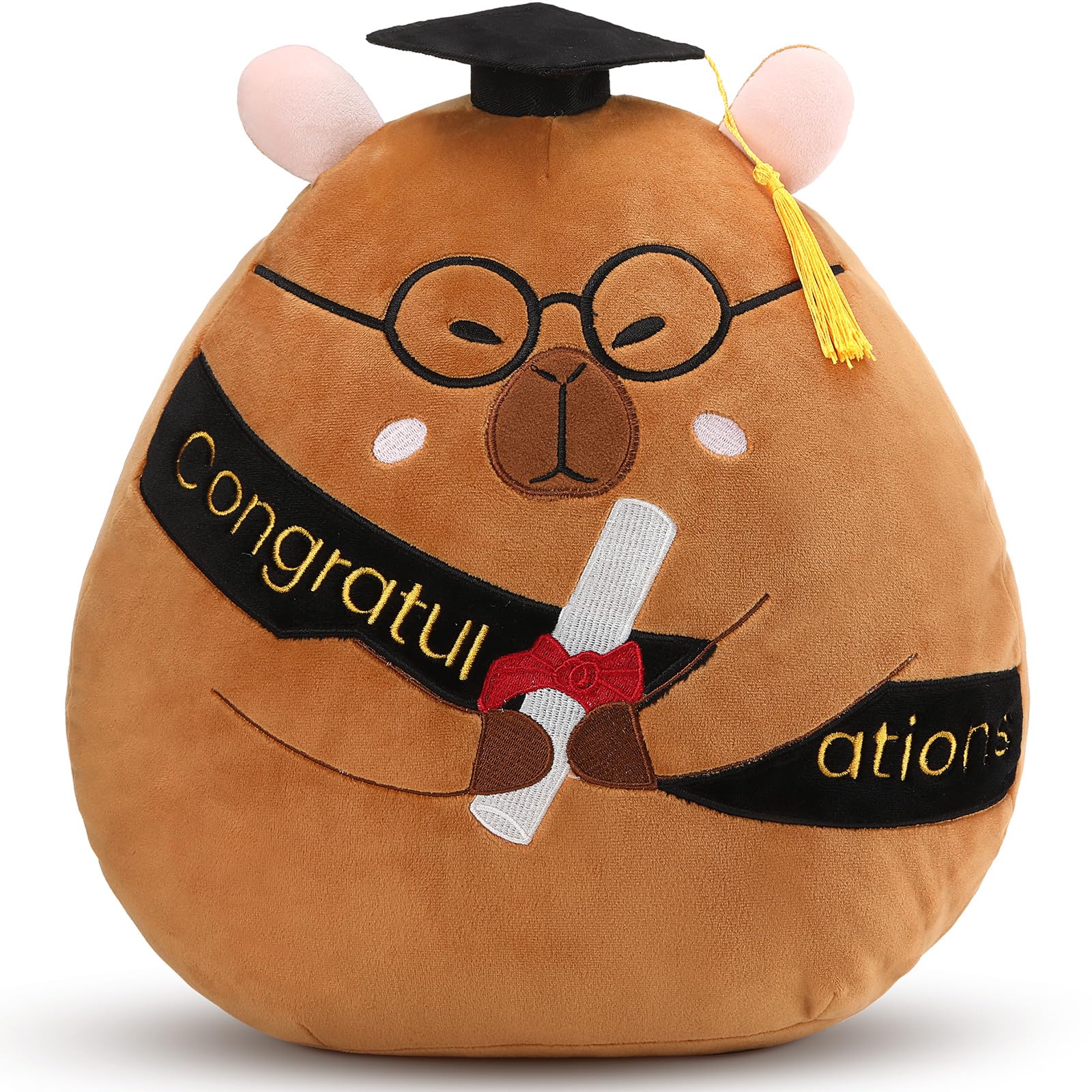 Chalyna 10 Inch 2025 Graduation Gift Capybara Stuffed Animal Plush with ...
