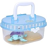 Amazon.com: Little Live Pets Lil' Turtle Tank: Toys & Games