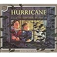 Hurricane: Wiesner, David: 9780395629741: Amazon.com: Books