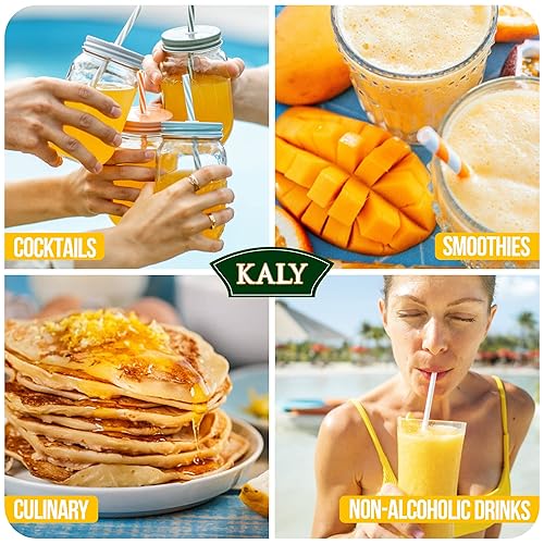 Non Alcoholic Brazilian Drinks Carnival At Texas De Brazil