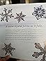 The Story of Snow: The Science of Winter's Wonder: Cassino, Mark ...