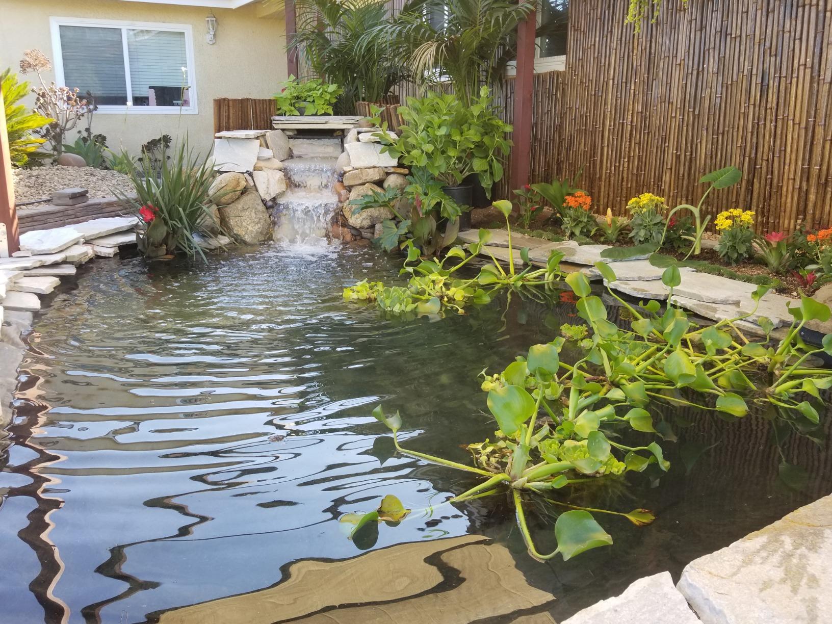 $53/mo - Finance HALF OFF PONDS Complete PRO 5200 Water Garden and Pond ...