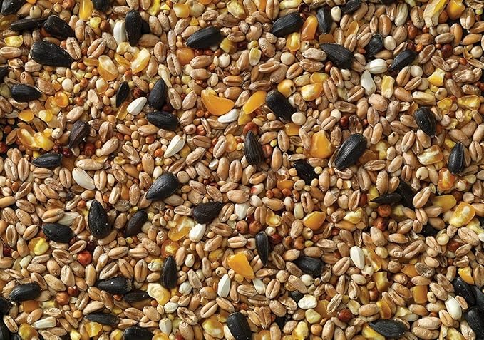 12.5 KG Wild Bird Food: Amazon.co.uk: Garden & Outdoors