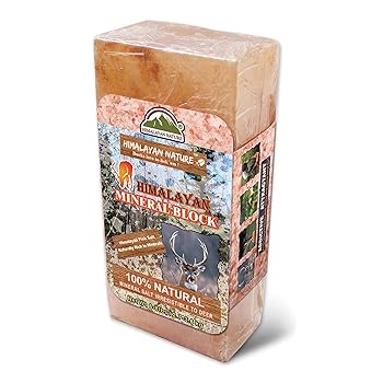 Best Salt Block For Deer 2023 – Reviews & Buyer’s Guide (Mar. 2023)
