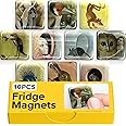 Amazon.com: Stylish Fridge Magnets in 25 Unique Multipack Themes ...