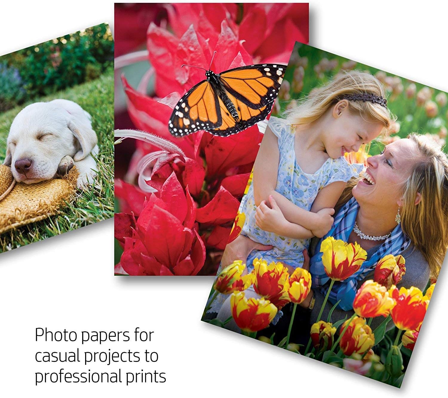 HP Q8691A, 10 x 15 cm Borderless, Advanced Glossy Photo Paper, 250 gsm ...