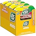 Amazon.com : Tic Tac Fresh Breath Mints, Fruit Adventure, Bulk Hard ...
