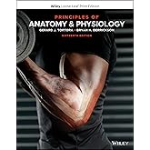 Amazon.com: Anatomy & Physiology: The Unity of Form and Function ...