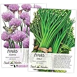 Amazon.com : Common Chives Seeds - Heirloom Herb - Non-GMO 1000 Seeds ...