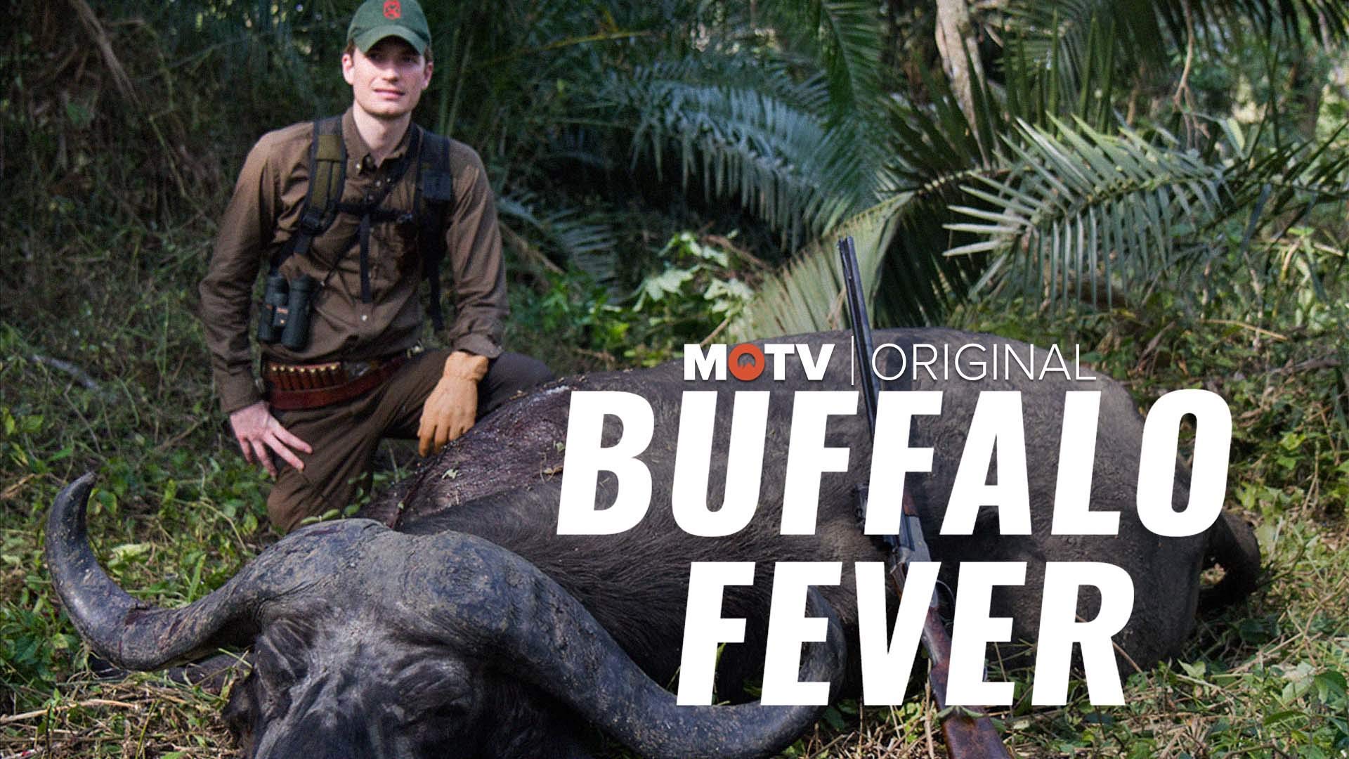 Watch Buffalo Fever - Season 1 | Prime Video