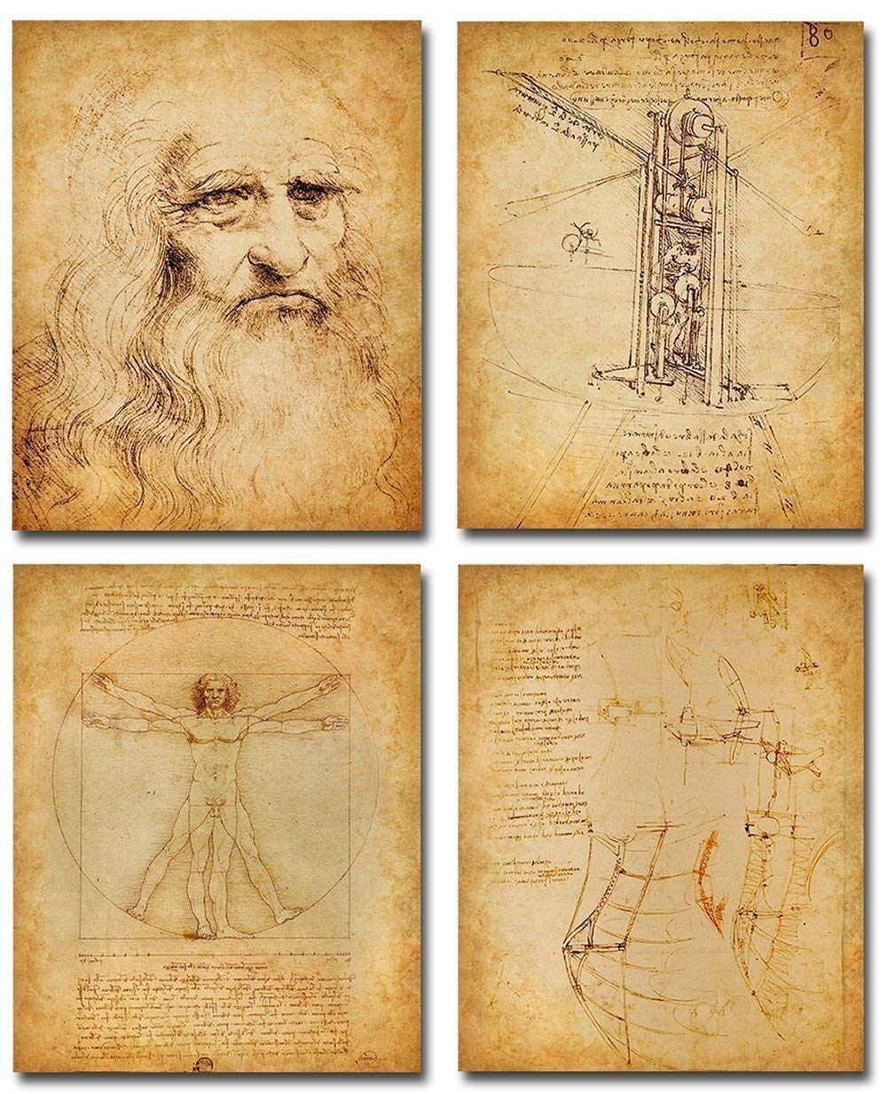 Amazon Prime Leonardo Da Vinci Fxxf 7604