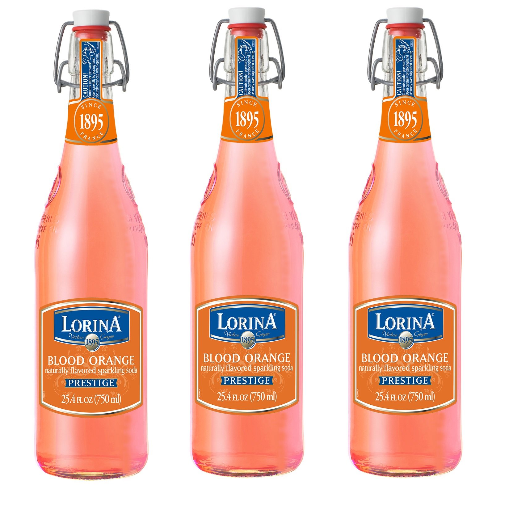 Amazon.com : Lorina Sparkling Soda Water Fresh Lemon Flavor (25.4 ...