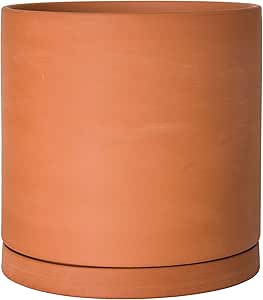 Amazon.com: Large 10 Inch Terracotta Plant Pot with Drainage Hole and ...