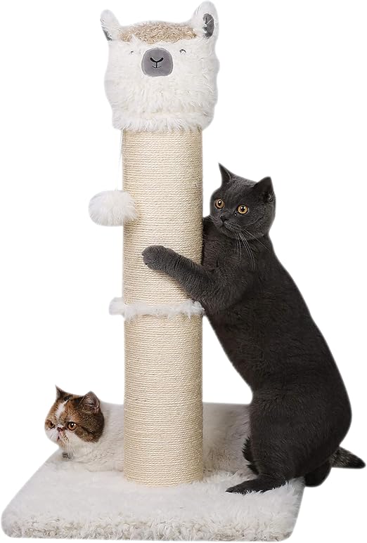 Best Scratching Posts for Large Cats (2022)
