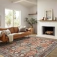 Amazon.com: Bavni Area Rug 6x9 Machine Washable Vintage Distressed ...