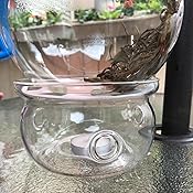 Amazon.com: SAHARA Teapot Warmer by GROSCHE; Heat proof High Quality ...
