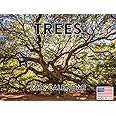 Amazon.com: Tree Calendar 2025 Forest Nature Monthly Wall Calender 12 ...