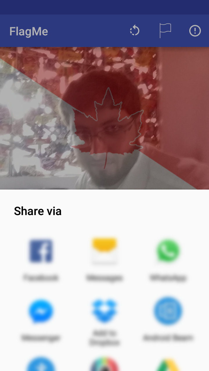 FlagMe - Flag Filter for DPs:Amazon.ca:Appstore for Android