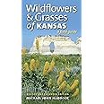 Wildflowers and Grasses of Kansas: A Field Guide, Revised and Expanded ...