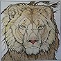 Amazon.com: Nature's Wonders Animal Adult Coloring Book With Bonus ...
