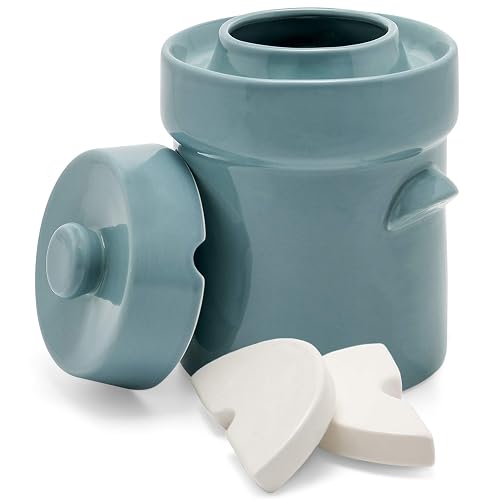 Fermentation Crock Jar Sauerkraut Crock -For Onggi Kimchi Pot (1.3 ...