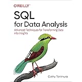 Amazon.com: SQL for Data Analytics: Perform fast and efficient data analysis with the power of ...