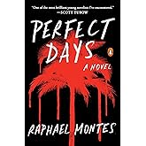 Perfect Days: A Novel: Montes, Raphael: 9781594206405: Amazon.com: Books